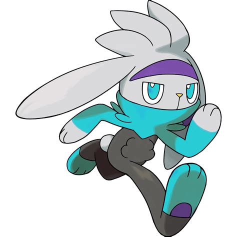 Raboot Custom Shiny By Noodnood966 On Deviantart
