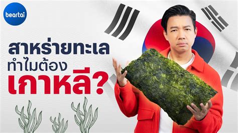 ทำไมไทยปลูก ‘สาหร่ายทะเล ไม่ได้ Youtube
