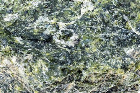 Newly Discovered Microbe Turns Carbon Light On Lifes Origins