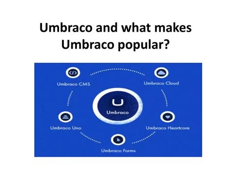 ppt umbraco and what makes umbraco popular powerpoint presentation