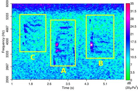 spectrogram of three individuals denoted c a and b respectively from