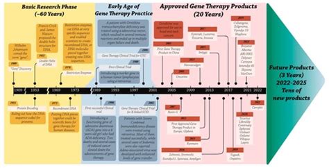 Genetic Approaches To Treating Disease Flashcards Quizlet