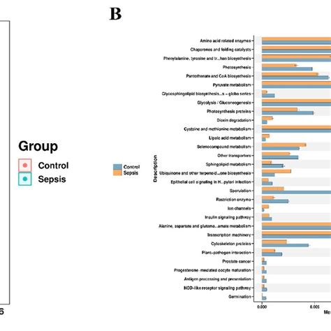 A Pcoa Of Bacterial Beta Diversity Based On The Unweighted Unifrac Download Scientific