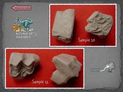 Fossil Lab Gonyoscience