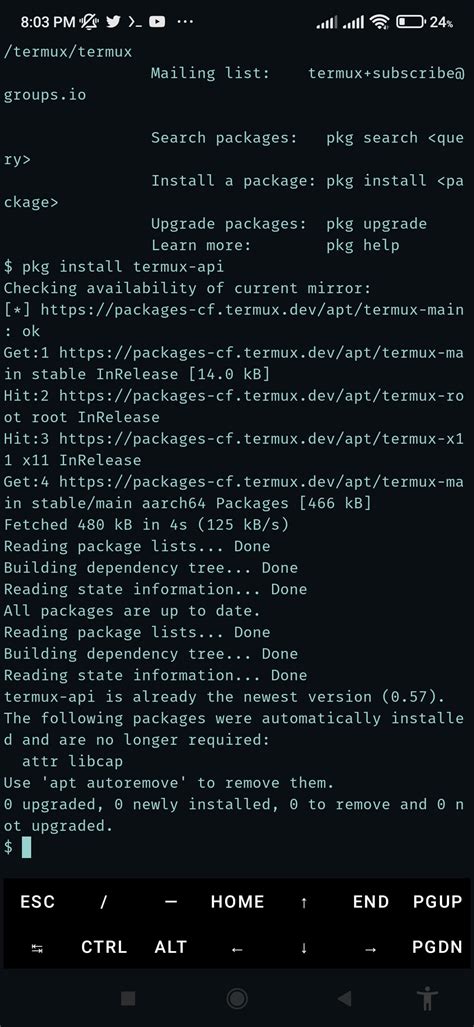 how can use this termux api on termux i already installed the package