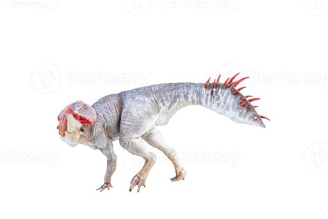 Protoceratops Dinosaur On Isolated Background 17217987 Png