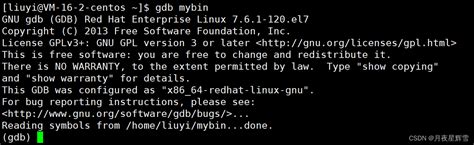 【linux调试器gdb的使用】gdb的常用命令 gdb常用命令 自定义输入 csdn博客