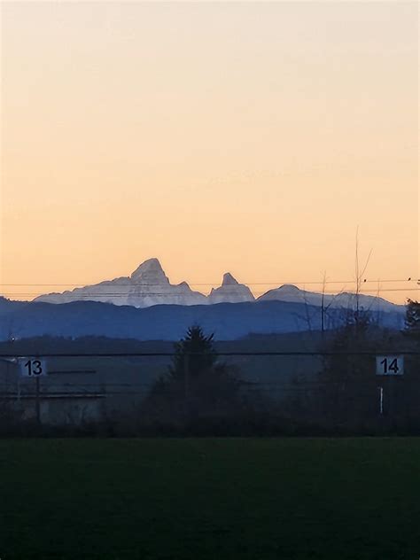 Dueling Leaks Irl R Botw