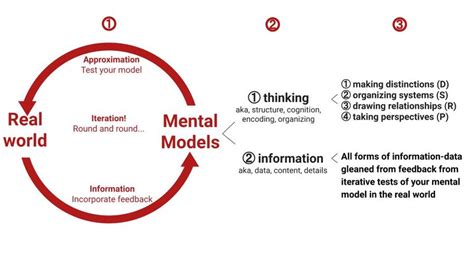 The Systems Thinking Loop And Its Information DSRP Structure Download Scientific Diagram
