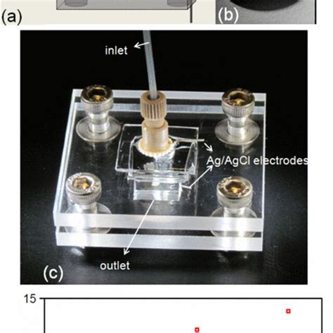 A Microfluidic System Used For Identification Of Circulating Tumor