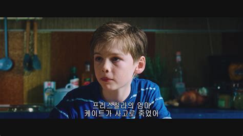 개띵작 래시 컴 홈 자녀에게 교훈주기 딱 좋은 댕댕이 영화