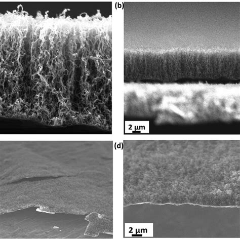 sem images representing a 7 8 μm thick vertically aligned cnts on cu