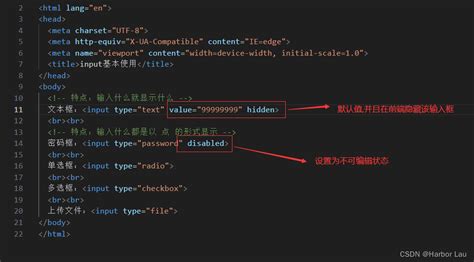 前端表单input的简单使用前端输入数据 Csdn博客 前端表单input的简单使用前端输入数据 Csdn博客