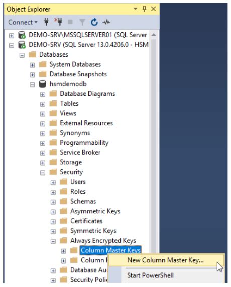 How To Create A Column Master Key Cmk Securosys Docs