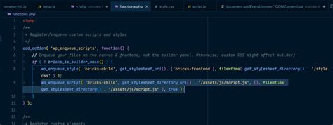 Enqueueing A Javascript File In Bricks Brickslabs