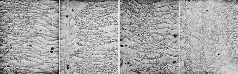 Light Optical Micrographs Of Longitudinal Cross Sections Of As Printed