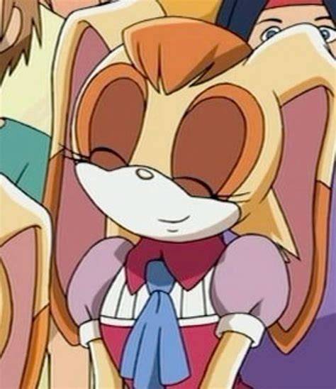 Vanilla T Rabbit Sonic X Icon Cream Sonic Sonic Art Sonic Fan