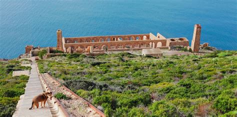 Porto Flavia Guided Tour From Masua With Private Guide Where Sardinia