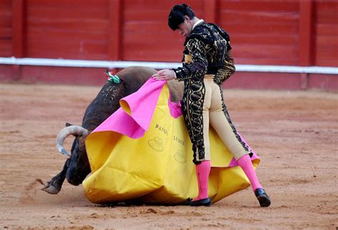 Daniel Luque La Presión De Un Torero Grande Que Nunca Fue Niño