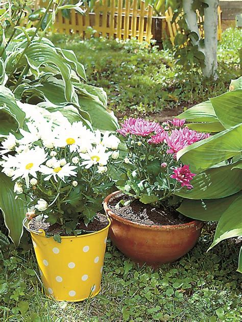 Как да създадете градина от контейнери Български Фермер