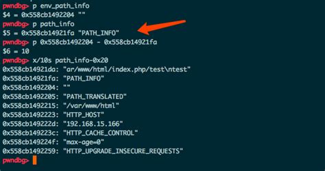Php Fpm Rce的poc的理解剖析cve 2019 11043 Wonderkuns Blog