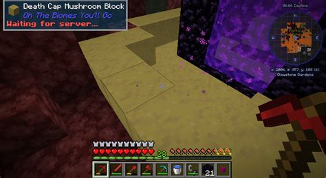 Anyone Know What Causes This Nether Always Says Waiting For Server So I Can T Mine Anything