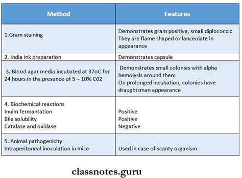 pneumococcus bacteria class notes
