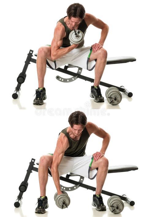 Concentration Curl Stock Image Image Of Concentration 56407207 Concentration Curl Stock Image Image Of Concentration 56407207
