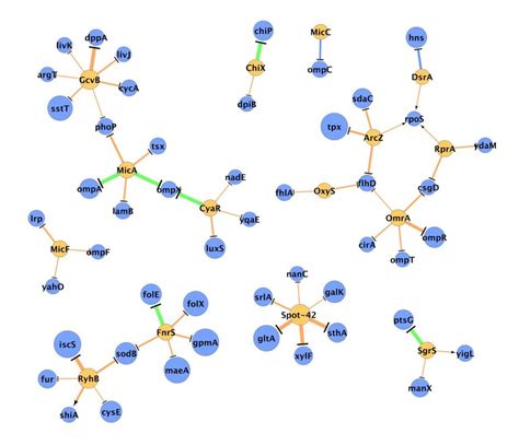 Evolution Of The Post Transcriptional Regulatory Network The Presented Download Scientific
