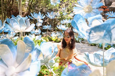 รูปภาพประกอบข่าว แชะ เที่ยว ชมดอกไม้นานาพันธ์ุ งานเทศกาลฤดูร้อน ณ สัทธา อุทยานไทย รูปที่ 11 จาก 24