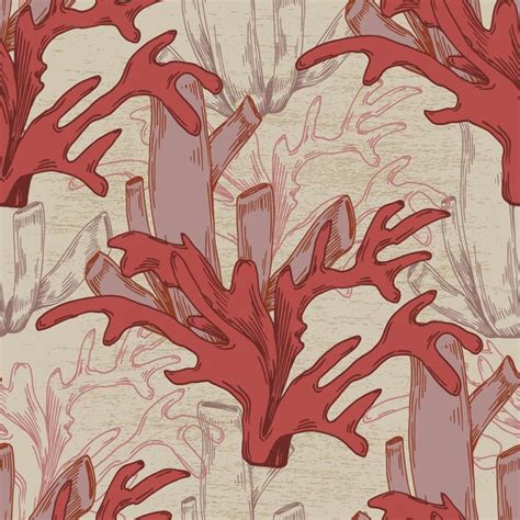 Premium Vector Hand Drawn Corals Seamless Pattern