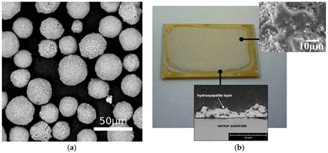 Real Time Protein And Cell Binding Measurements On Hydroxyapatite Coatings