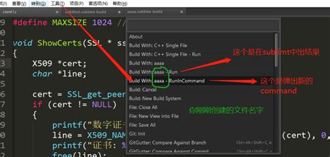 配置 Sublime Text4为 C 编辑器的方法向阳逐梦infoq写作社区
