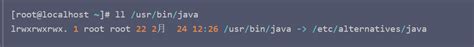 Linux安装nacos 启动报错解决 which no javac in usr local sbin usr local bin usr sbin usr bin root