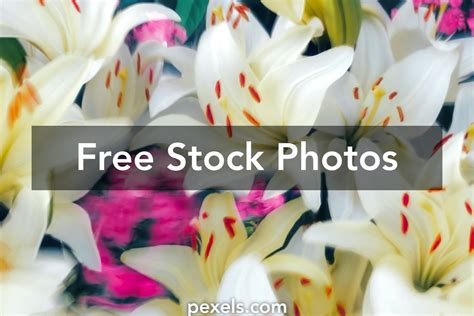 Decoration For Outdoor Wadding Photos Download The Best Free Decoration For Outdoor Wadding Decoration For Outdoor Wadding Photos Download The Best Free Decoration For Outdoor Wadding