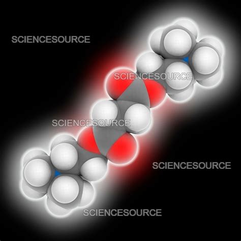 Succinylcholine Drug Molecule Stock Image Science Source Images