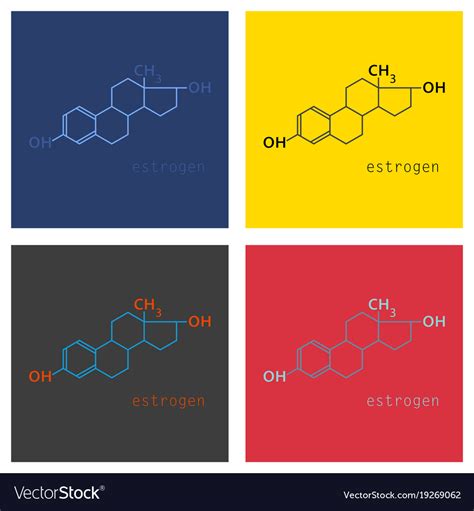 Estrogen Molecule Progesterone Female Sex Hormone Skeletal Chemical
