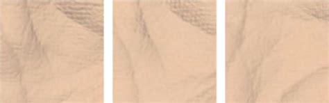 A Performance Evaluation Of Classic Convolutional Neural Networks For 2d And 3d Palmprint And