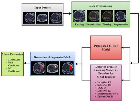 bioengineering free full text u net model with transfer learning