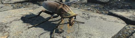 Glowing Radroach Regular Variant Available Companion At Fallout 4