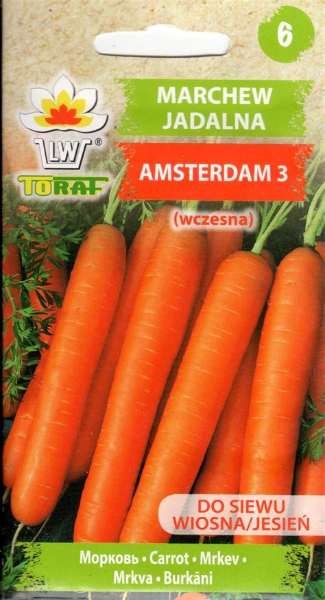 Morkos Amsterdam 3 Dreamgardenlt