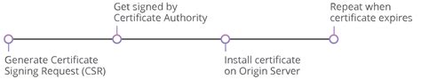 Performing Preventing SSL Stripping A Plain English Primer