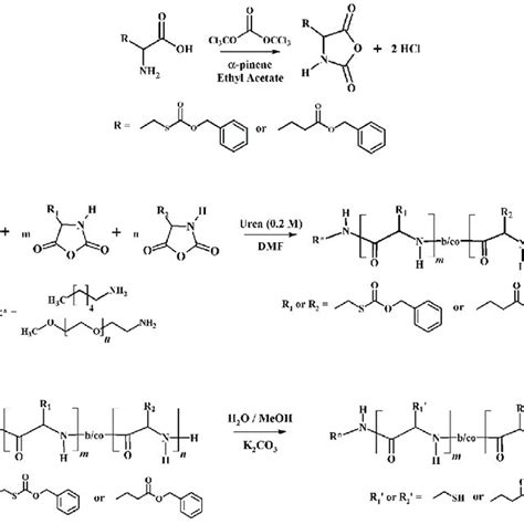 Scheme 3 Synthesis Of Photoresponsive O Nitrobenzyl L Cys Nca Monomer Download Scientific