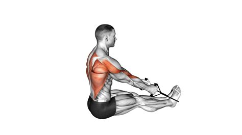 9 Effective Scapular Retraction Exercises For Improved Shoulder