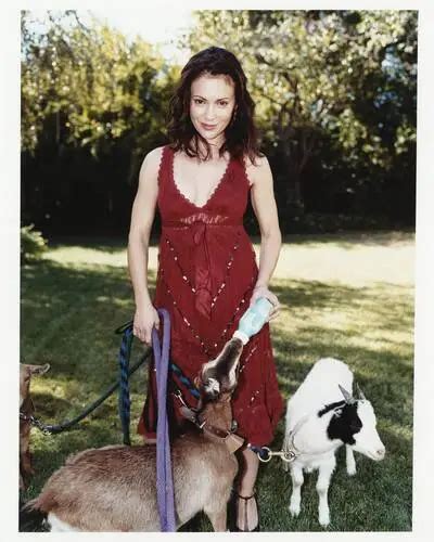 Alyssa Milano Poster 505709 Online Best Prices Alyssa Milano Poster 505709 Online Best Prices