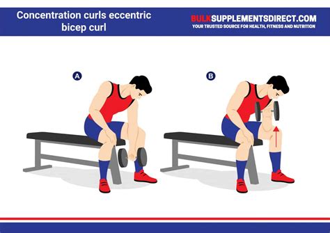 The Eccentric Bicep Curl How To Pack On Muscle To Your Biceps