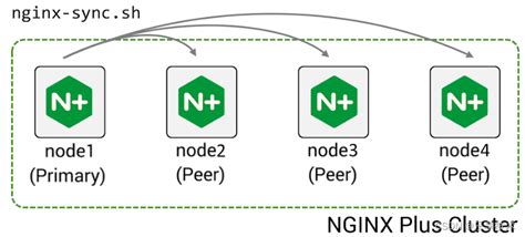 nginx（26） 构建nginx高可用、集群及性能监控 精通nginx csdn专栏