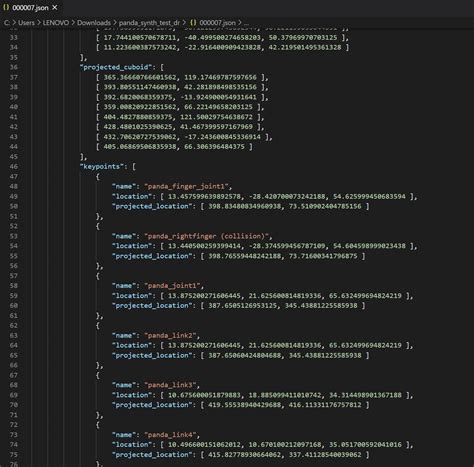 Extracting Joint Keypoint Information To Json Files Like Seen Generated In The Dream Project