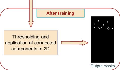 weakly supervised segmentation with lc fcn 2 d oct images are used as