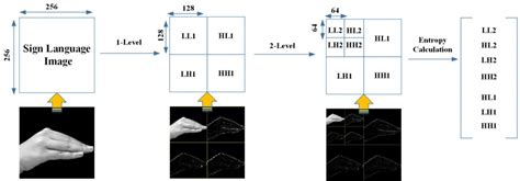 Process Of 2 Level 2d Dwt Download Scientific Diagram